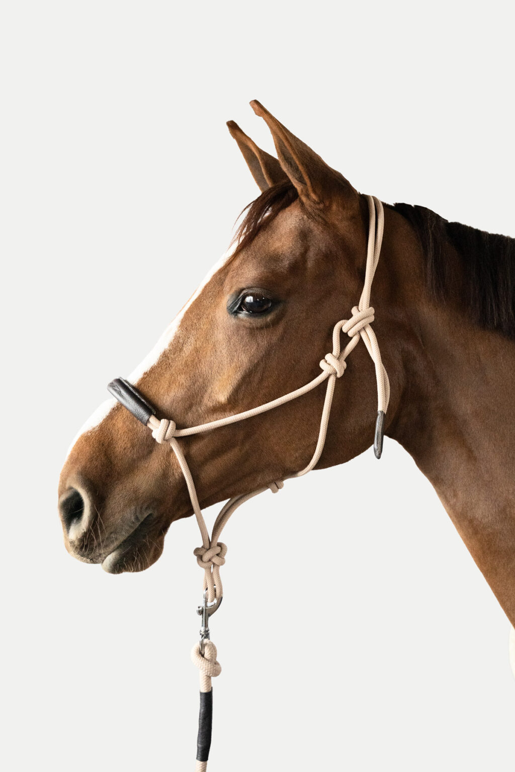 Amiko Rope Halter, Cream | Amiko & Friends