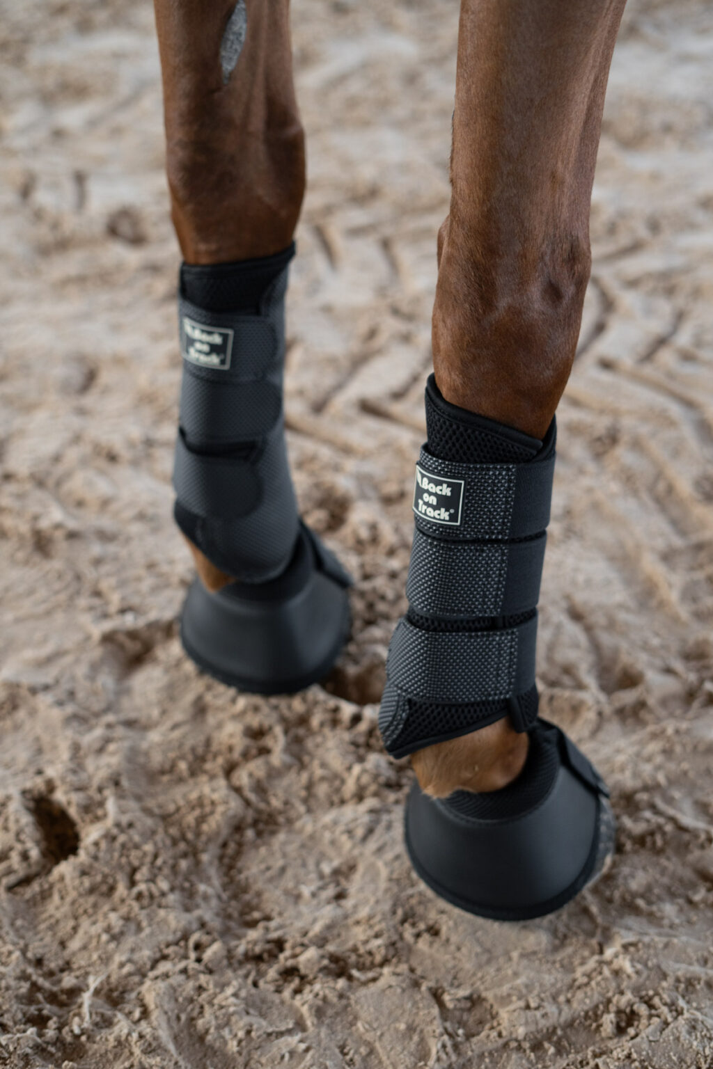 Leg & Hoof Protection | Amiko & Friends