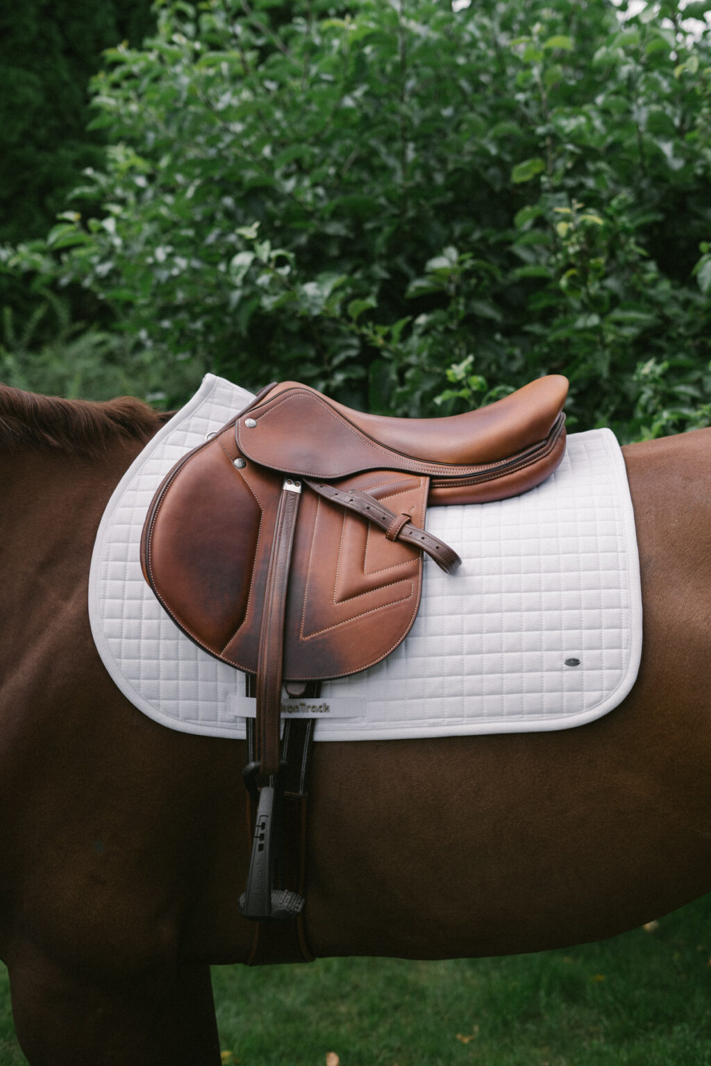 Amiko & Friends | Say goodbye to overpriced gear