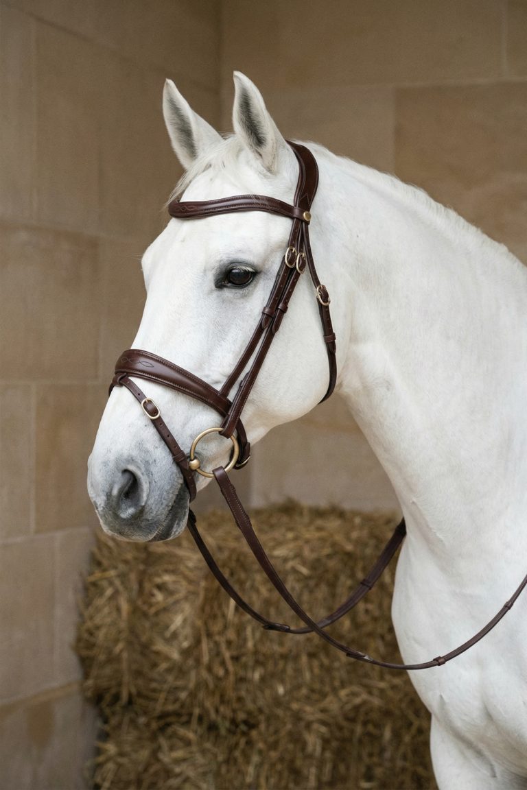 Amiko Bridle Allround, Havana Brown | Amiko & Friends