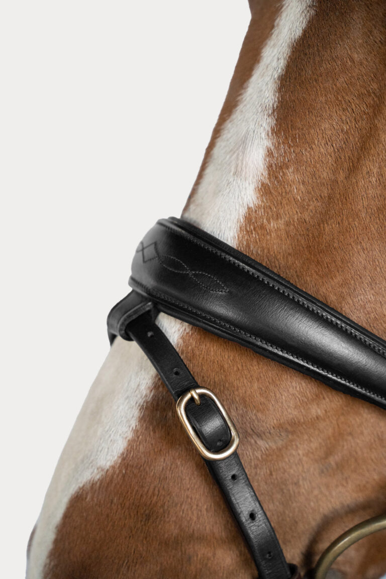 Amiko Bridle Allround, Black | Amiko & Friends