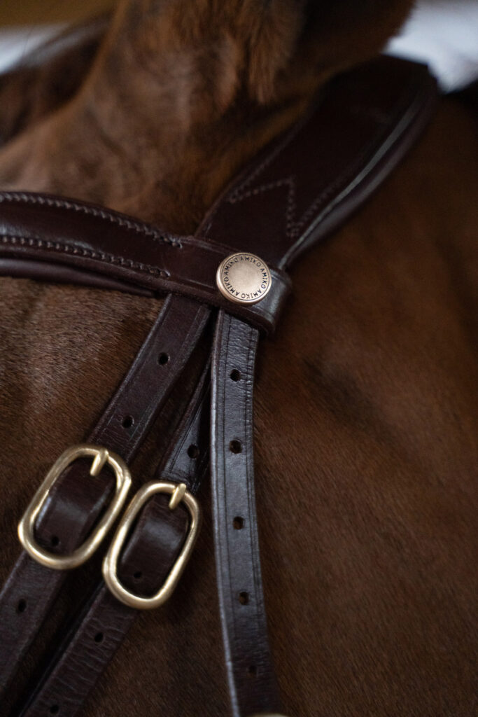 Amiko Essential Bridle Allround, Havana Brown | Amiko & Friends