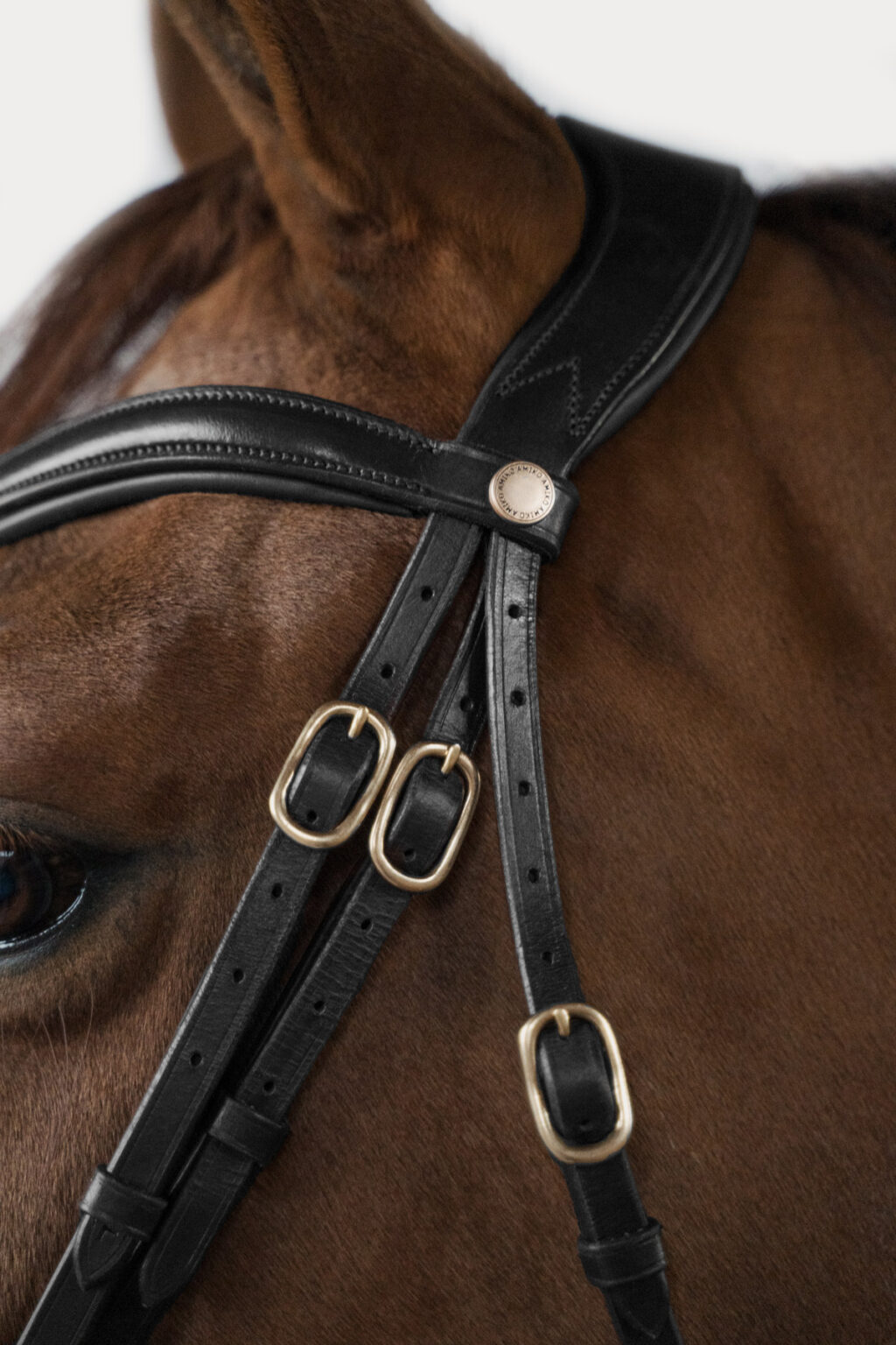 Amiko & Friends | Say goodbye to overpriced gear