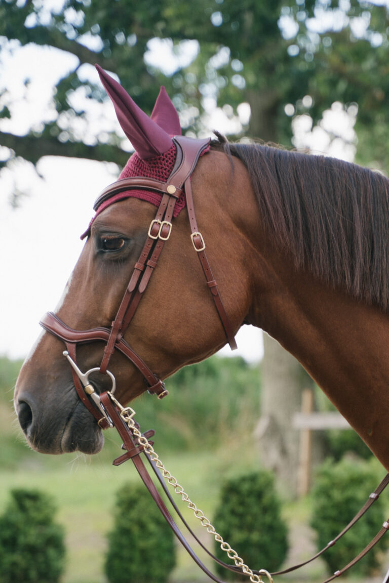 Amiko Performance Bridle, Cognac | Amiko & Friends