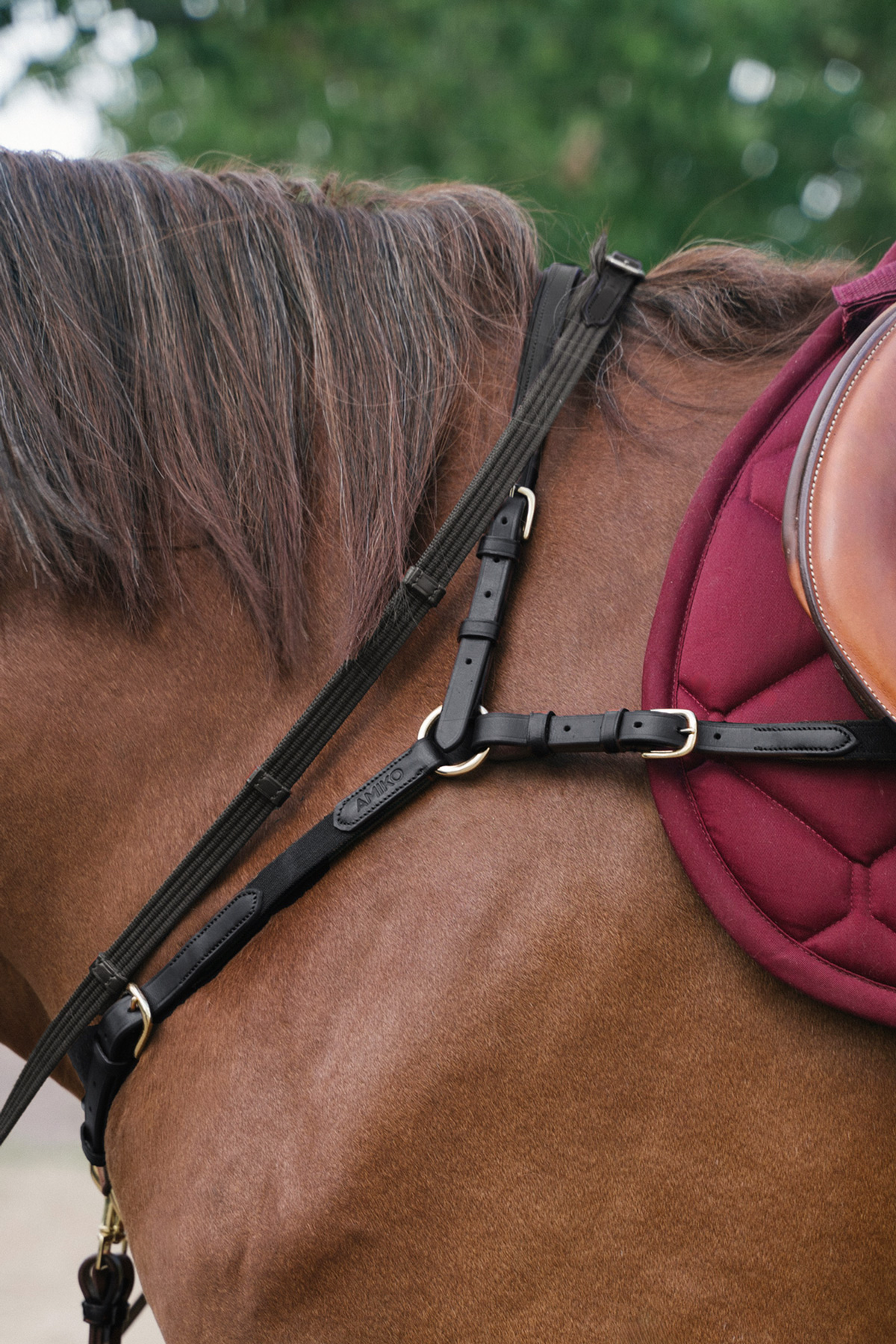 Lunging & Training Aid | Amiko & Friends