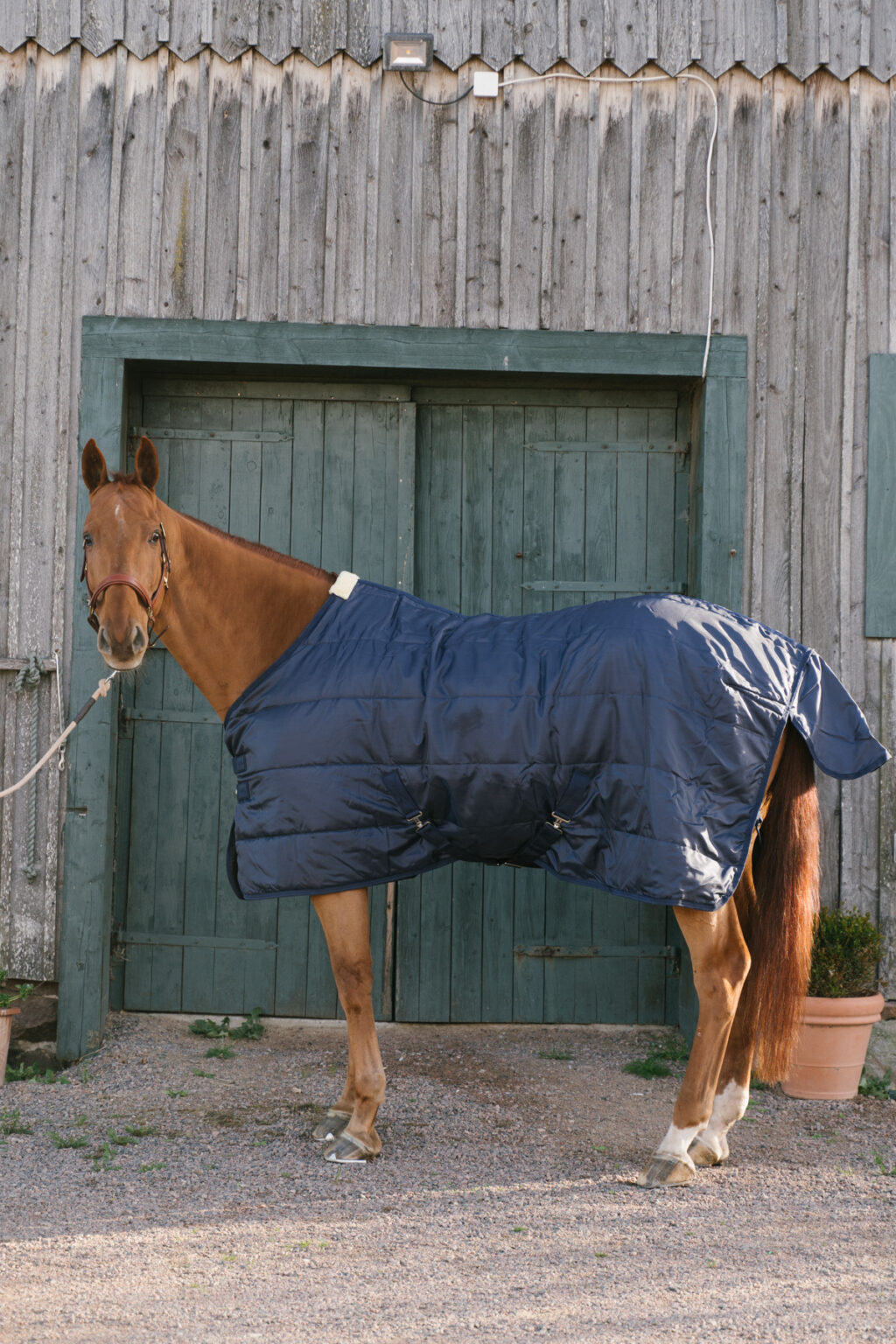 Amiko & Friends | Say goodbye to overpriced gear