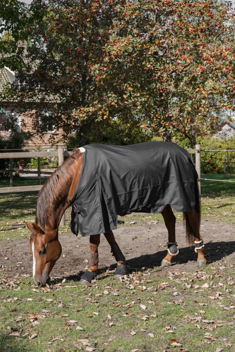 Amiko & Friends | Say goodbye to overpriced gear