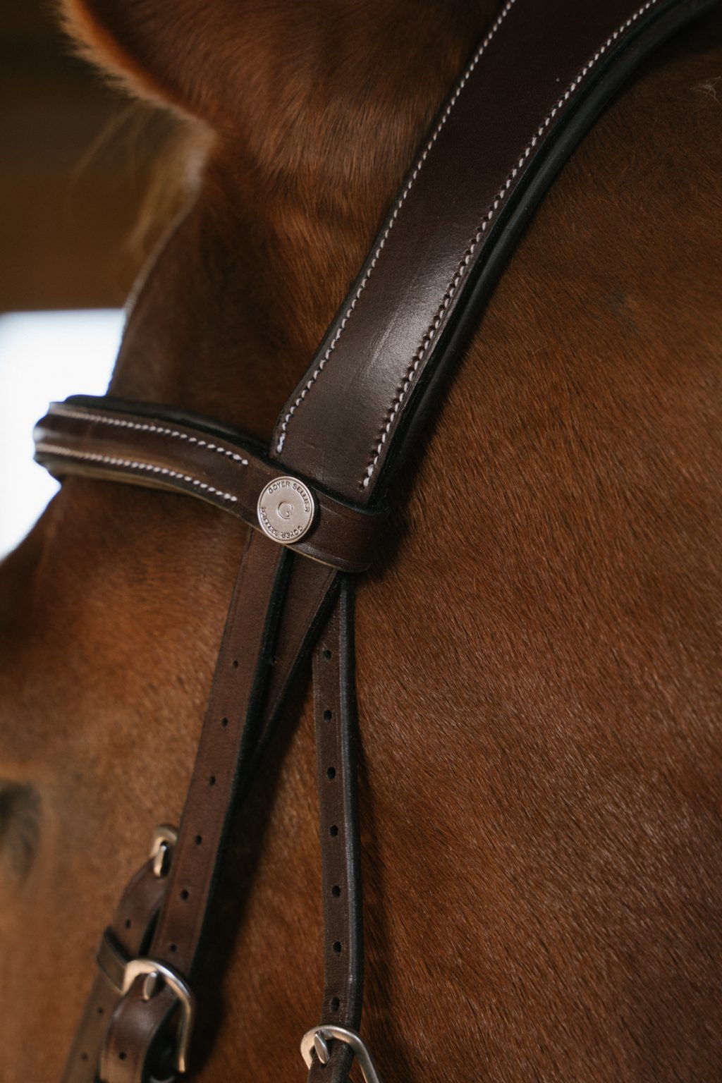 Goyer Sellier Bridle Classic, Brown | Amiko & Friends