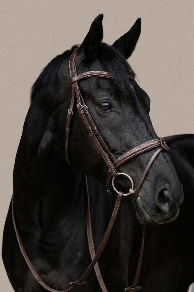 Goyer Sellier Bridle Classic, Brown | Amiko & Friends