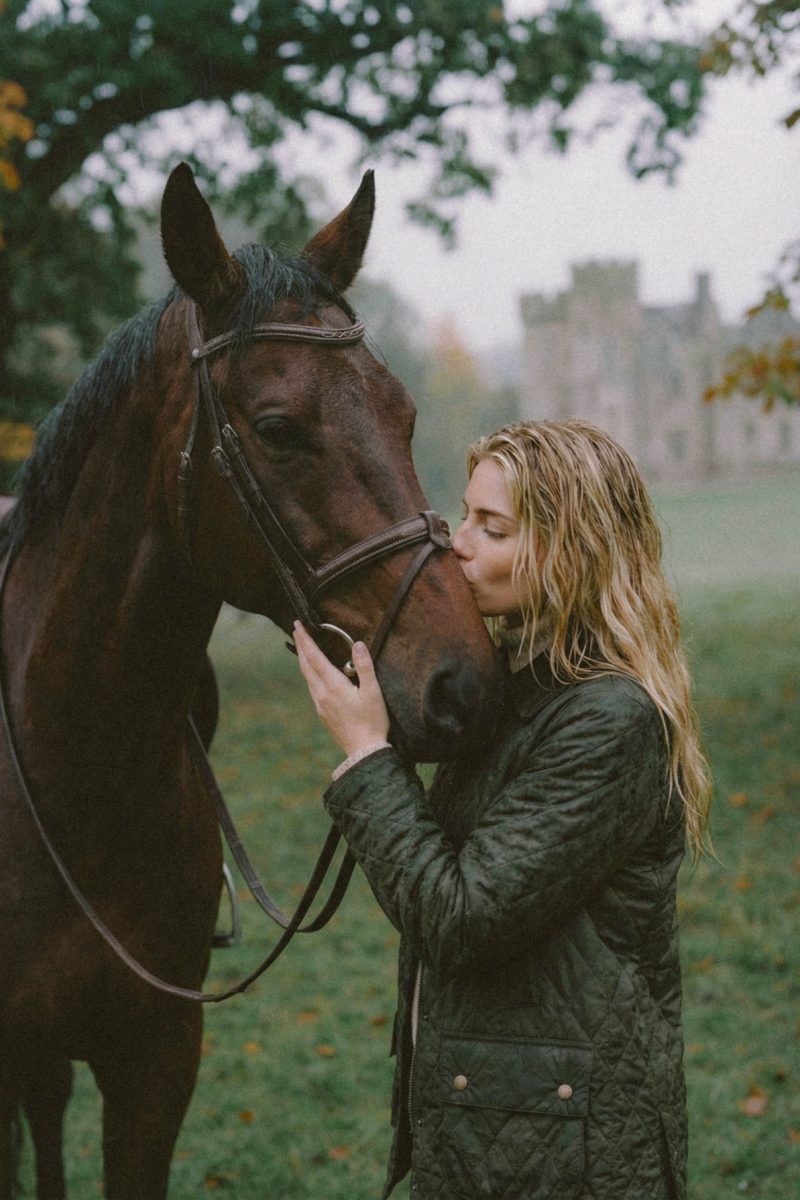 Goyer Sellier Bridle Classic, Brown | Amiko & Friends
